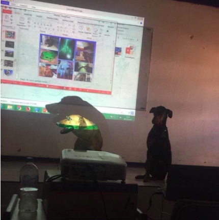 Ingeniería, Informática y Sociedad [infosoc] | UTFSM Survival Guide